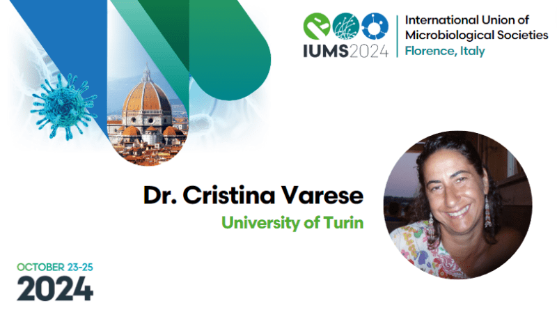 Speaker Highlights - IUMS 2024